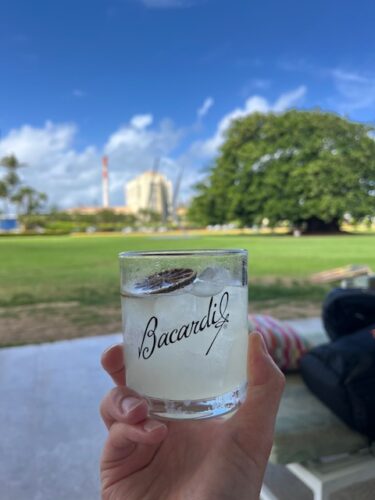 Casa Bacardi Distillery Tour in San Juan Puerto Rico › This Cruise Life